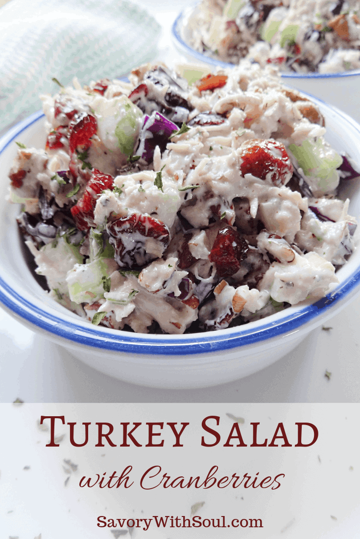 Turkey Salad Recipe with Cranberries - Savory With Soul