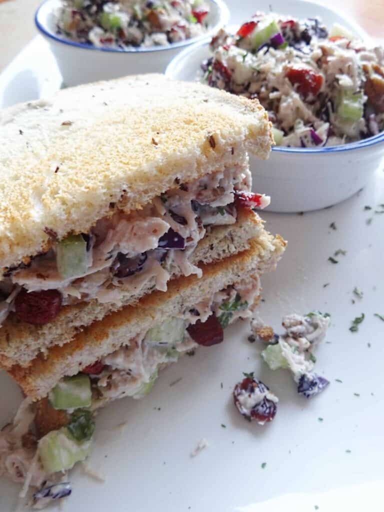 Turkey Salad Recipe with Cranberries - Savory With Soul