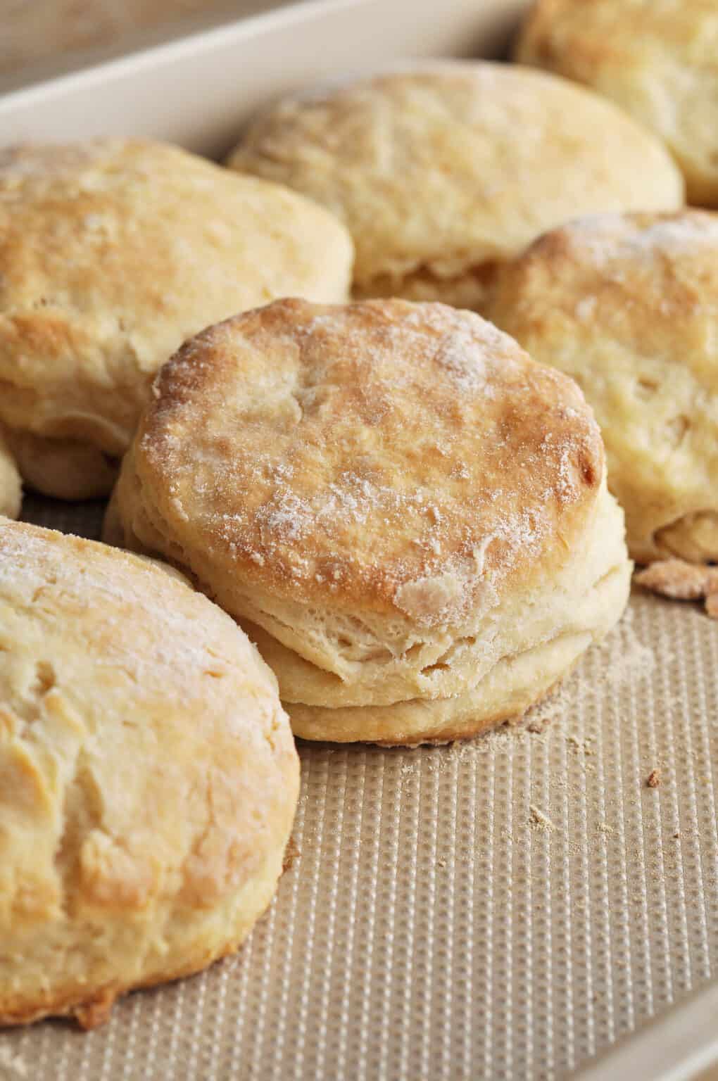 Easy Homemade Biscuits Recipe (Southern Style) - Savory With Soul